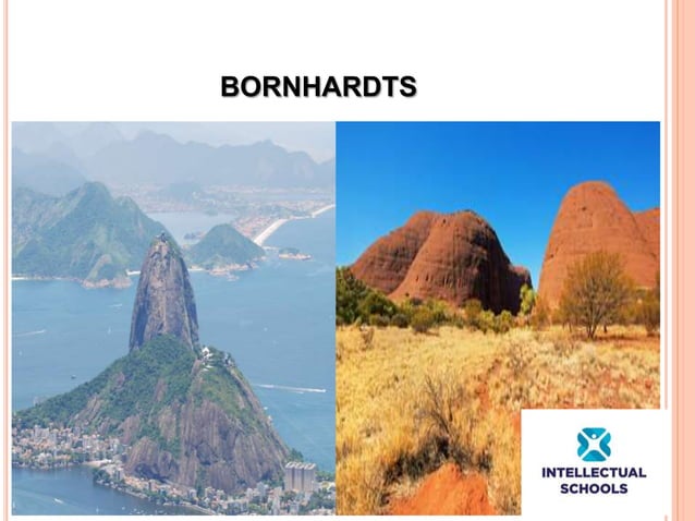 LAND FORM OF TROPICAL ENVIRONMENT | PPTX | Geology | Science