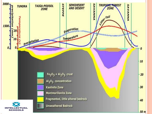 LAND FORM OF TROPICAL ENVIRONMENT | PPTX | Geology | Science