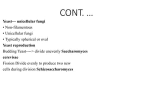 Chapter_seven[.].GENERAL CHARACTERISTICS OF FUNGI | PPTX