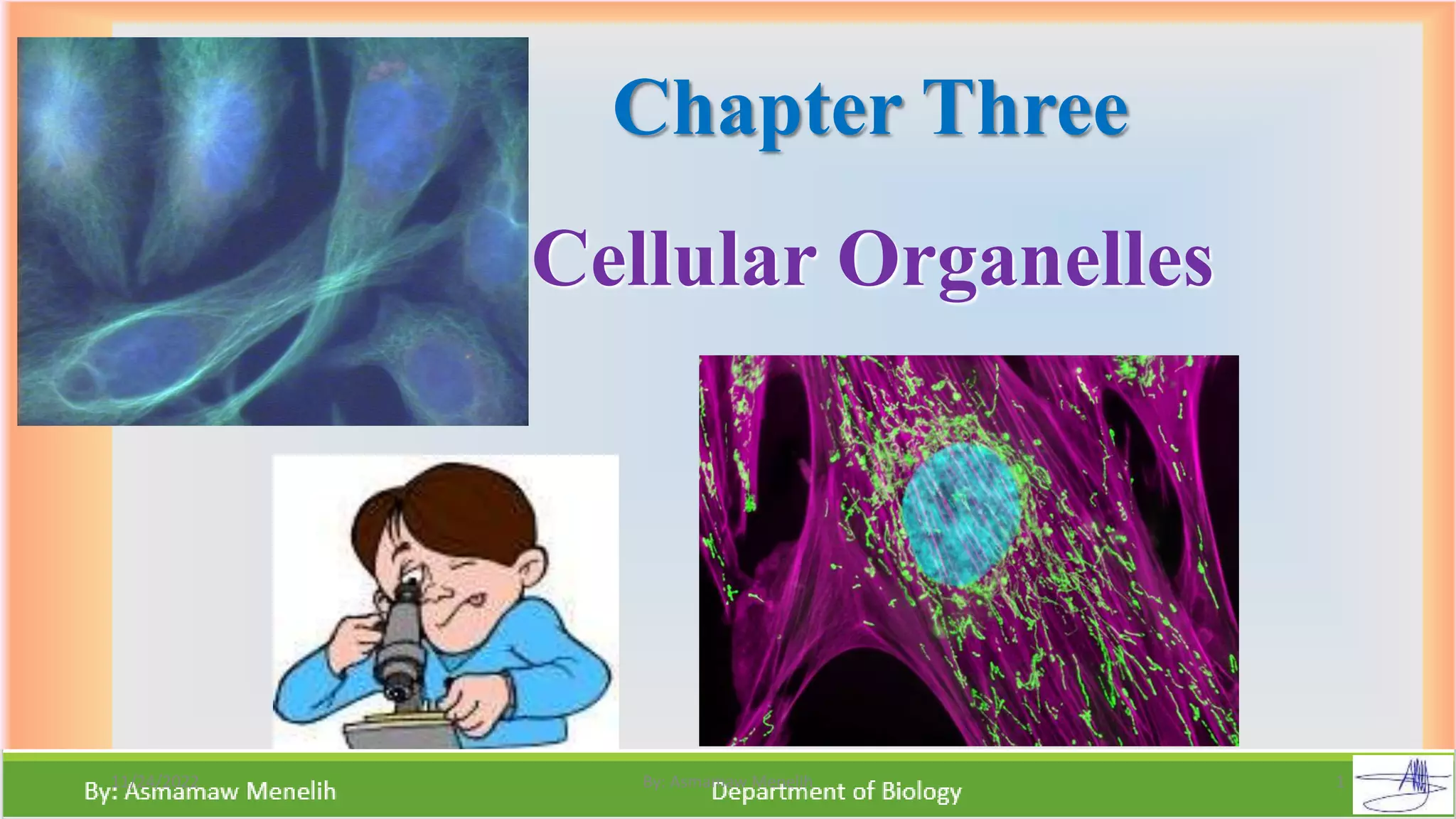 Cell Organelles | PPTX