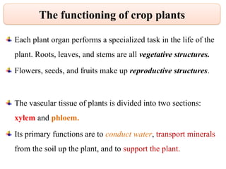 Crop Production and Management chapter_three.pptx