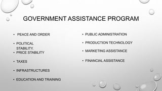 The government and entrepreneurship | PPTX