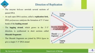 Structure and Synthesis of DNA | PDF