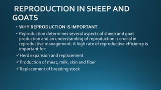 unit 2 reproduction in sheep and goats | PPTX