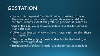 unit 2 reproduction in sheep and goats | PPTX