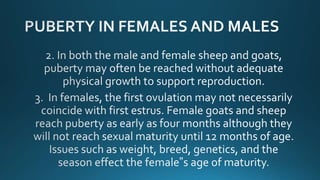 unit 2 reproduction in sheep and goats | PPTX