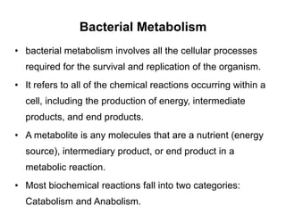 Chapter V Bacterial metabolism and Growth.ppt