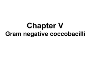 Chapter V Gram negative coccobacilli.ppt