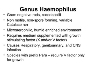 Chapter V Gram negative coccobacilli.ppt