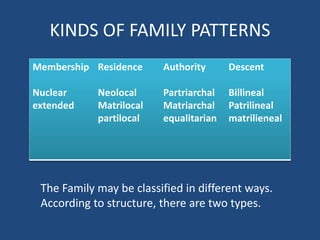 social institution | PPTX
