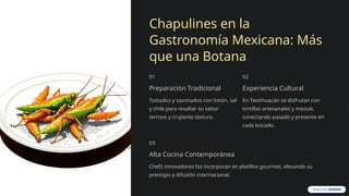 Chapulines-Patrimonio-Cultural-y-Potencial-Global-de-un-Alimento ...