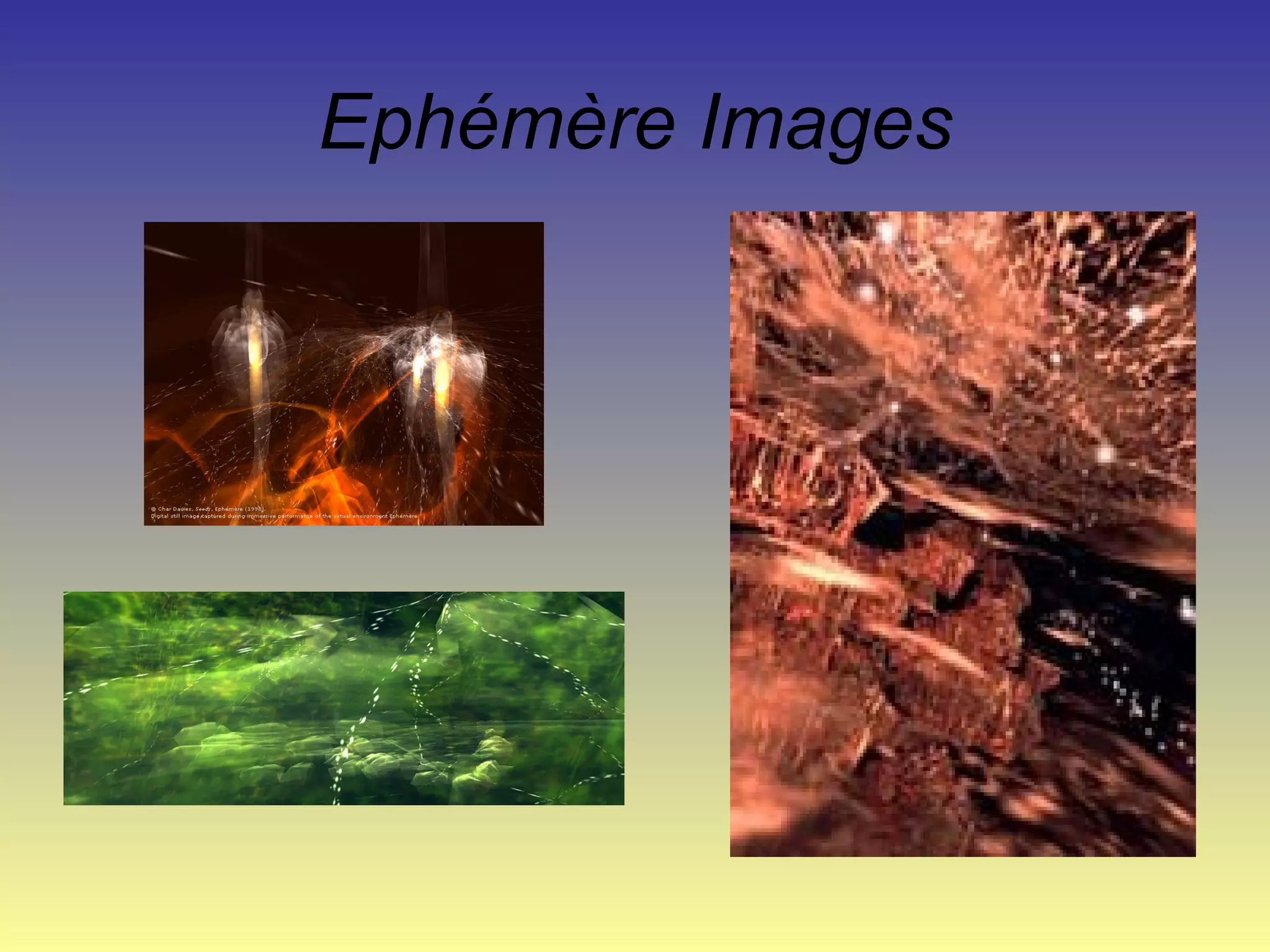 Char Davies | PPT | 3-D Graphics | Computer Software and Applications