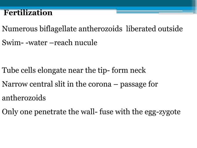 vegetative and reproductive structures of Chara | PPTX | Gardening ...