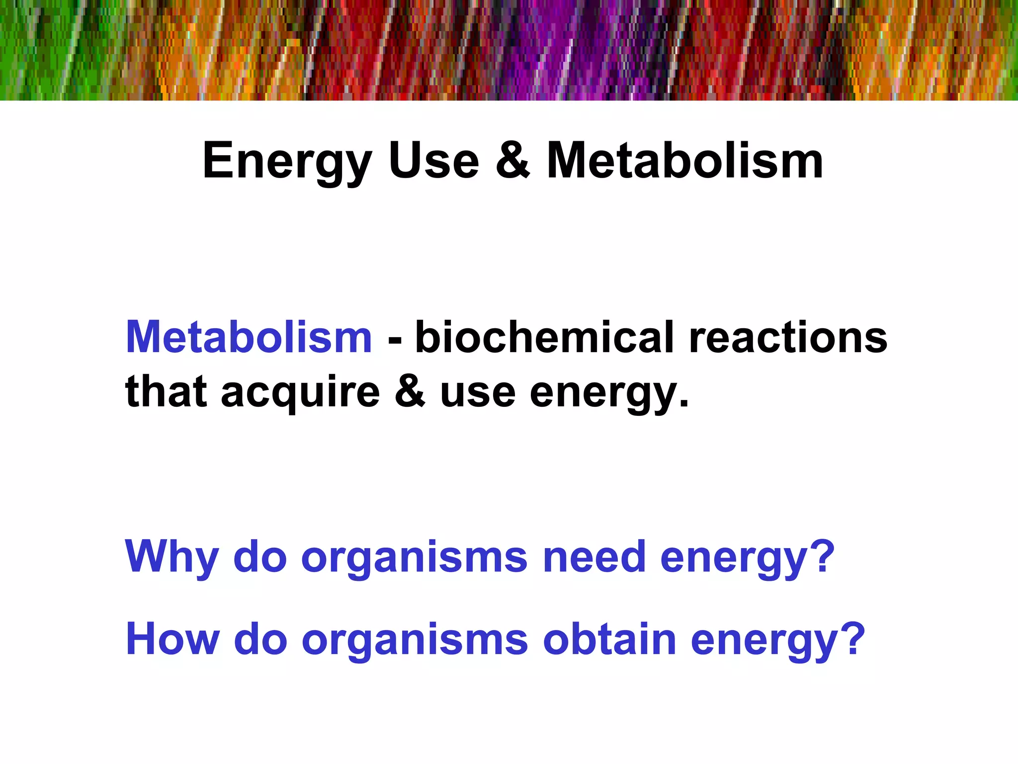 Characteristics of living things | PPT