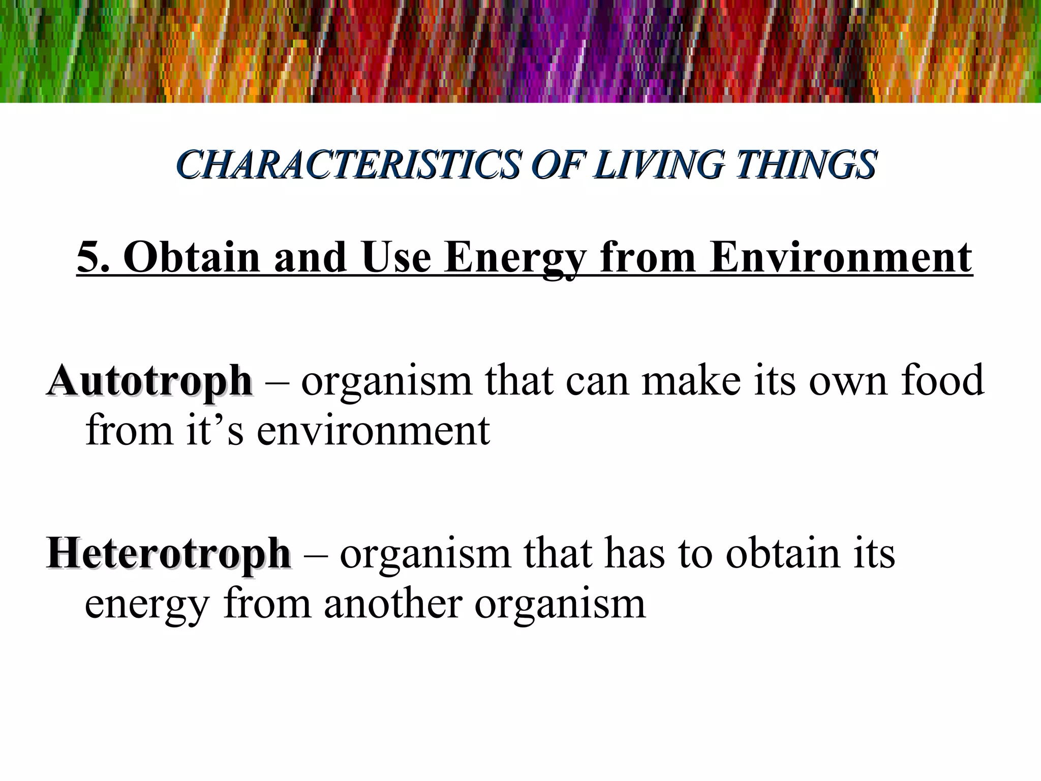 Characteristics of living things | PPT