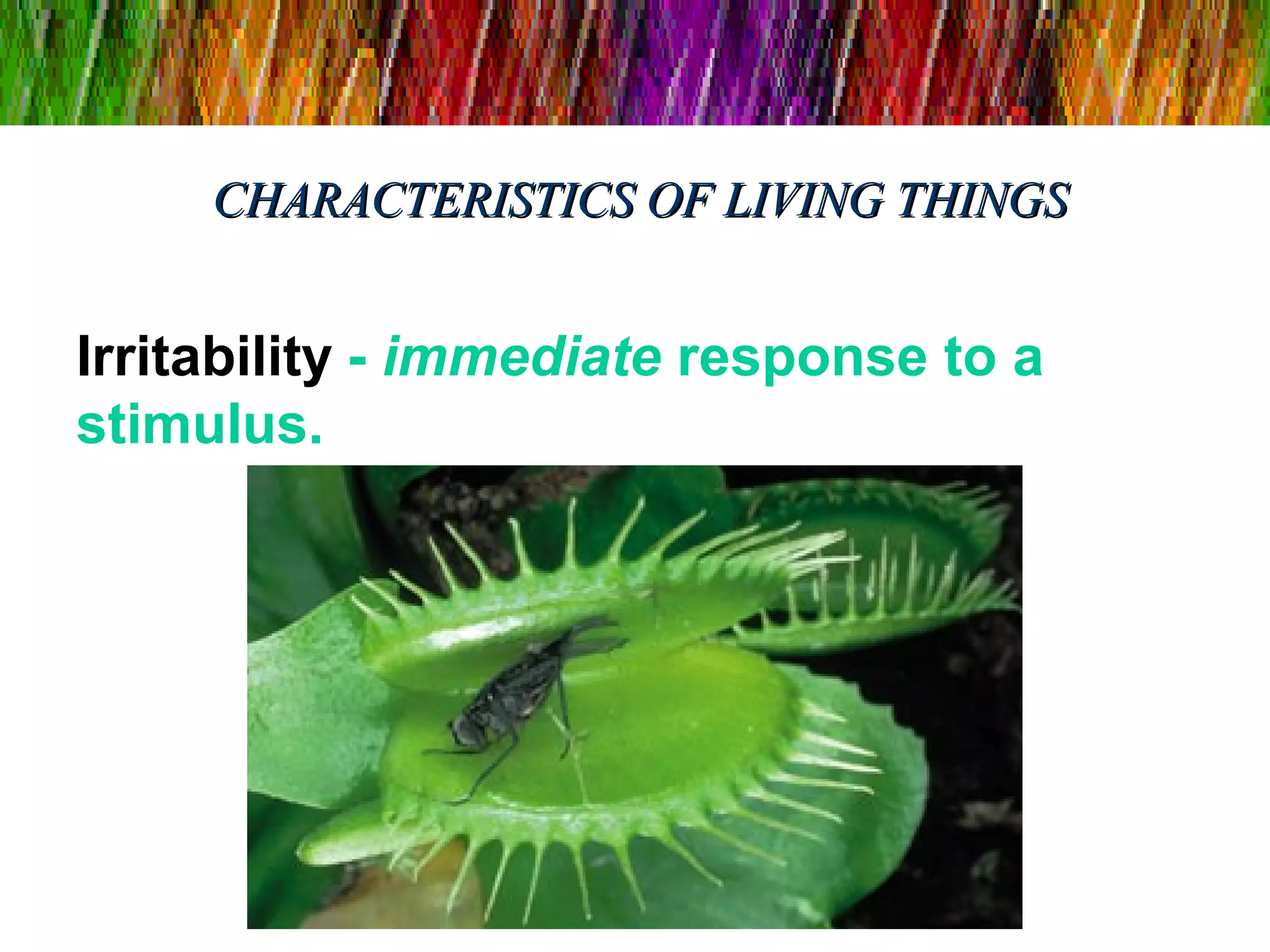 Characteristics of living things | PPT