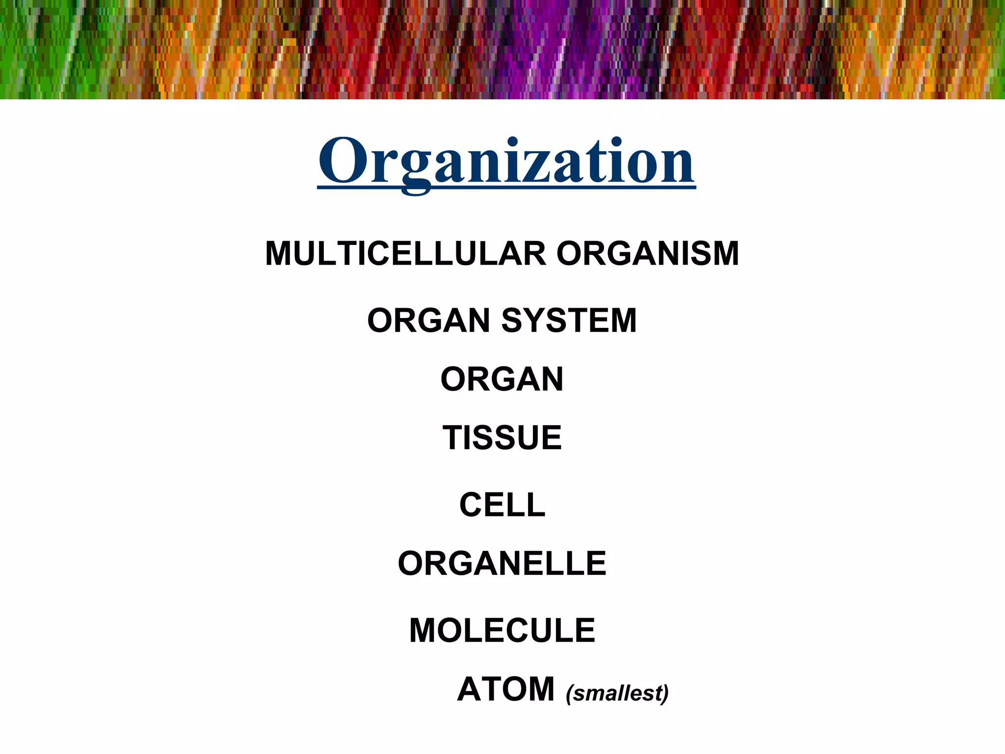 Characteristics of living things | PPT