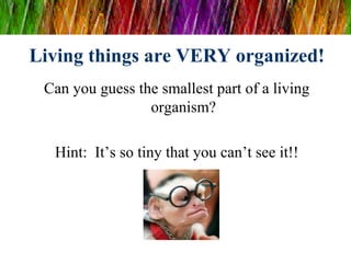 Characteristics of living things | PPT