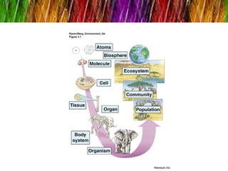 Characteristics of living things | PPT