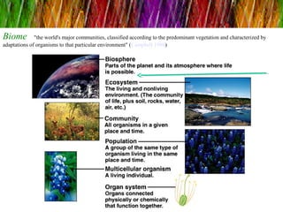 Characteristics of living things | PPT