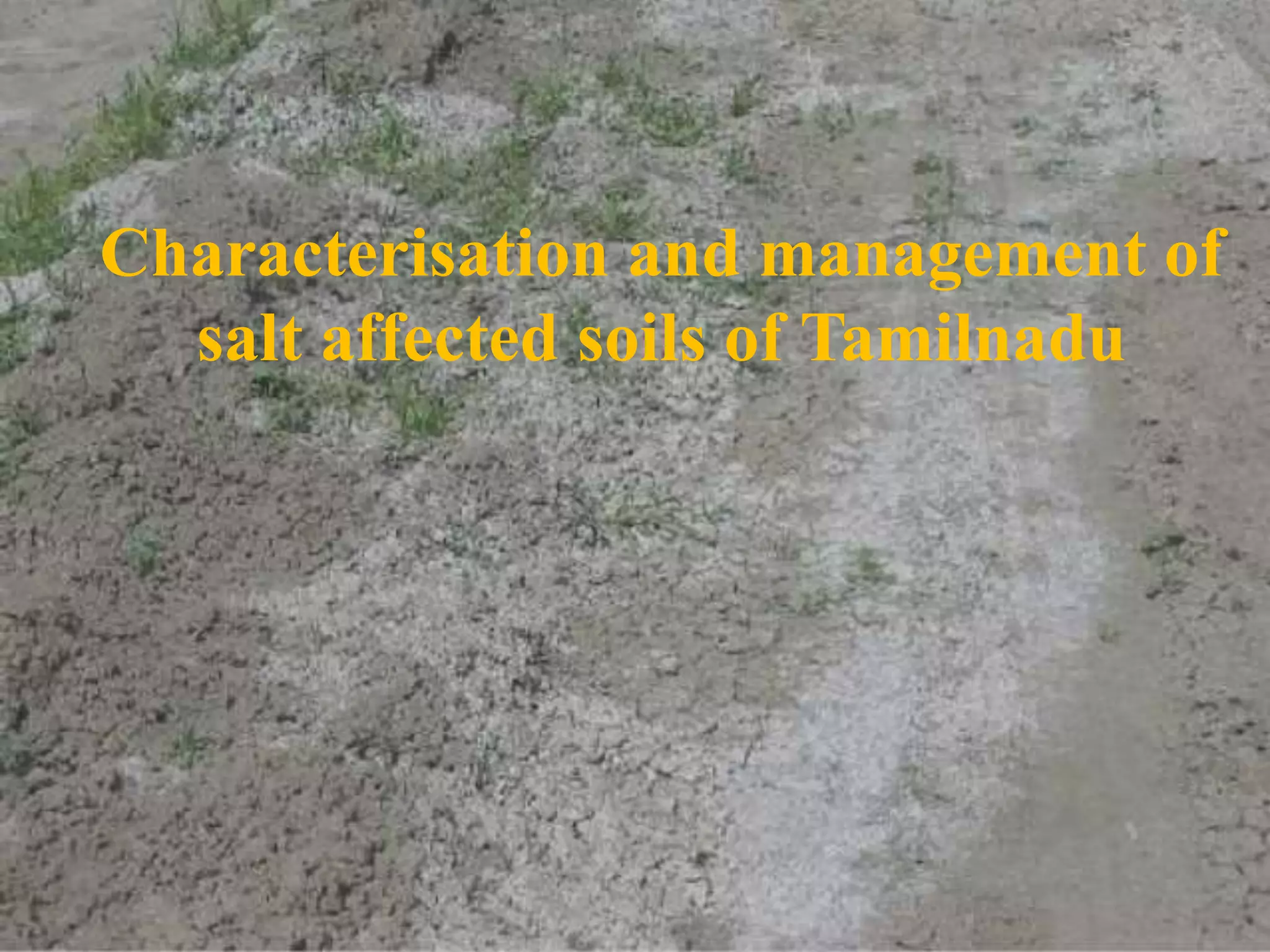Characterisation and management of salt affected soils (1) | PPTX