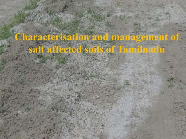 Characterisation and management of salt affected soils (1) | PPTX ...
