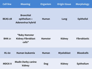 Characterisation of cell lines | PPT
