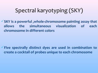 Characterisation of cell lines | PPT