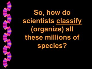 characteristic of life G6.ppt