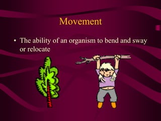 Characteristic livingThing grade 7 new.ppt