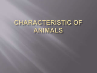 Characteristic of animals | PPTX