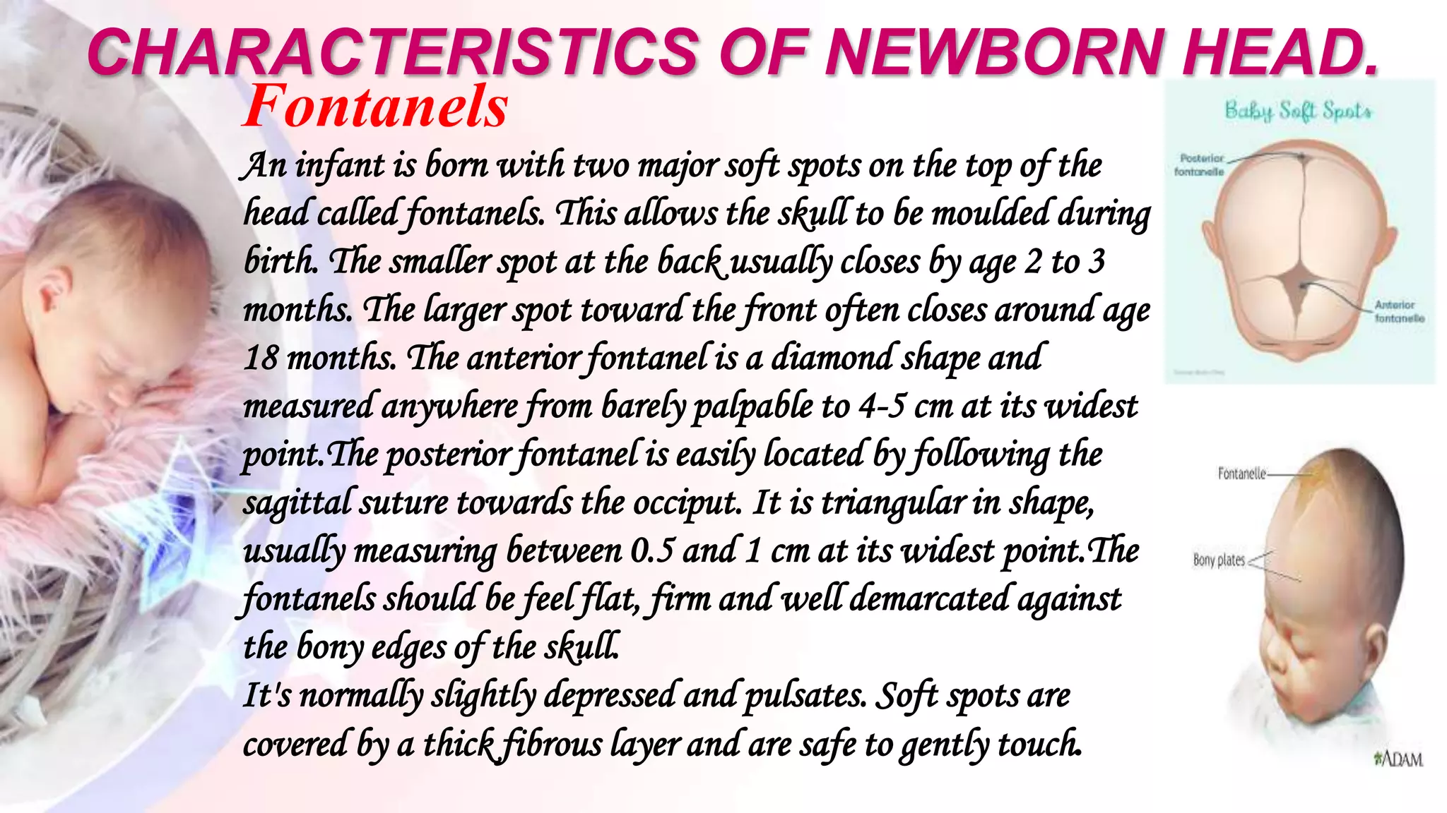 Characteristic of newborn and reflexes | PPTX