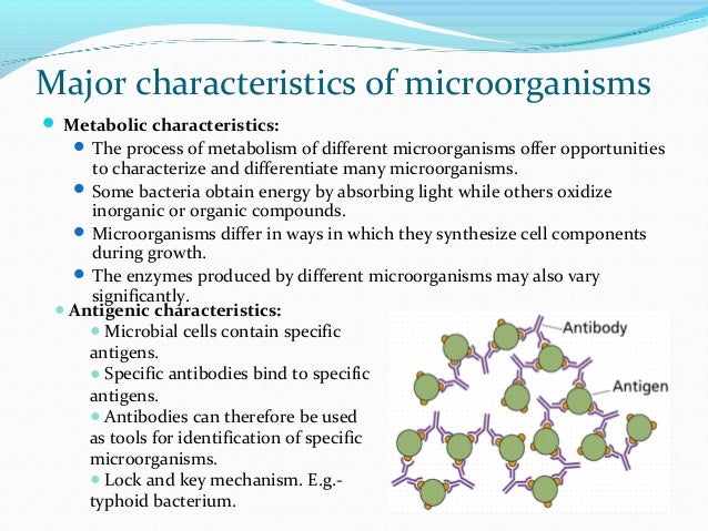 Characterization and Classification of Microorganisms Characterization and Classification of Microorganisms