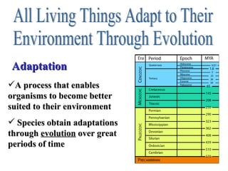 Characteristics Of Life | PPT