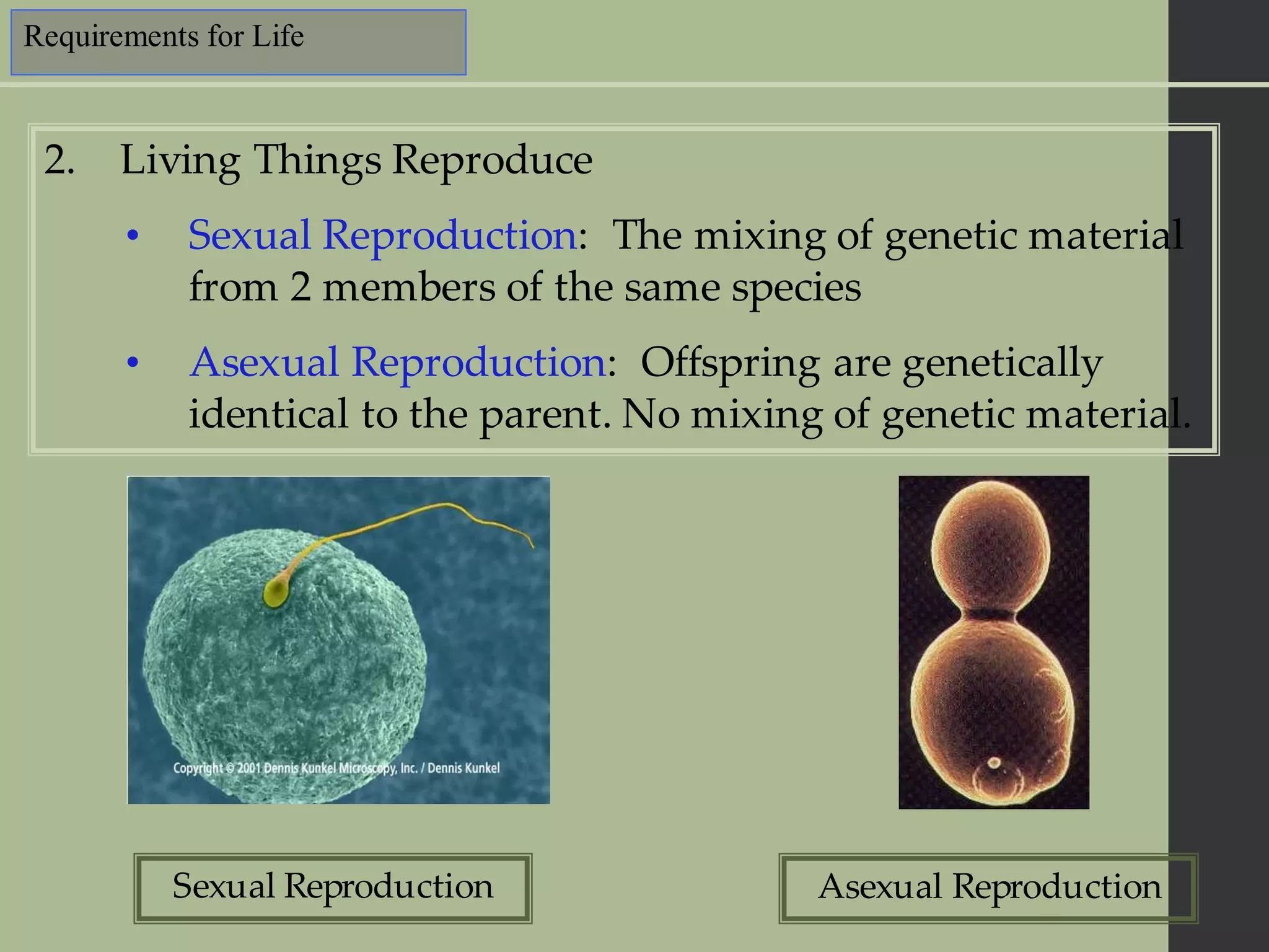 characteristics of life | PDF