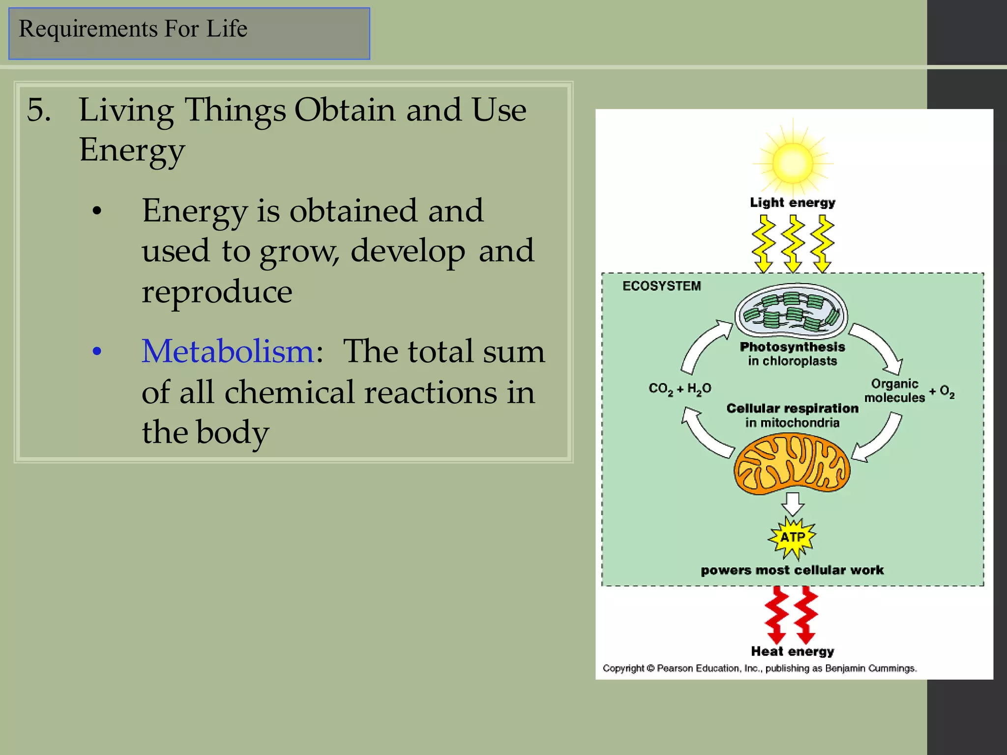 characteristics of life | PDF