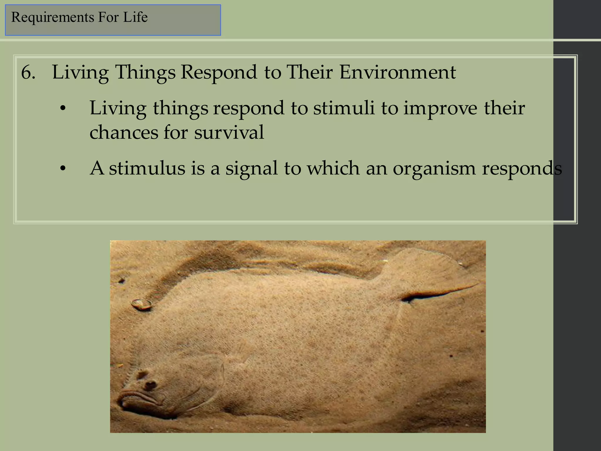 characteristics of life | PDF