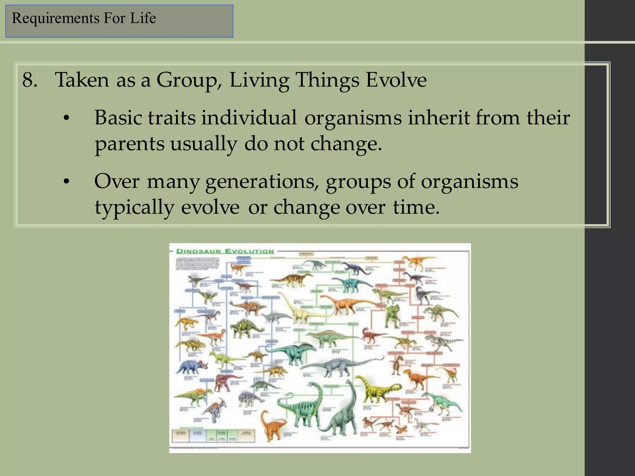 characteristics of life | PDF