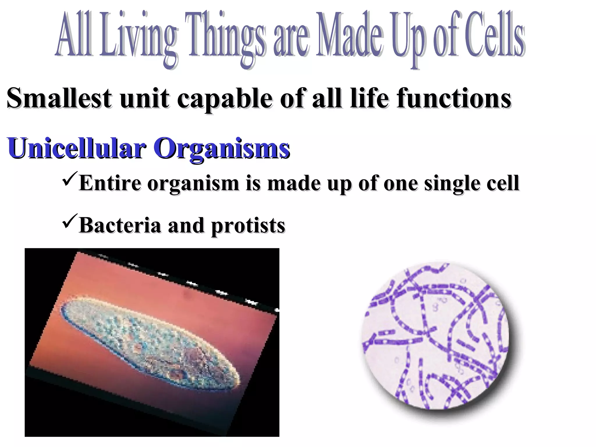 Characteristics Of Life | PPT