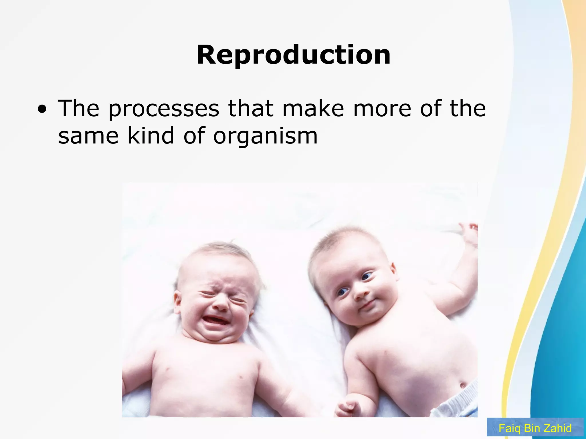 Characteristics of Living Organism | PPT
