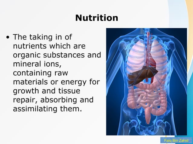 Characteristics of Living Organism | PPT