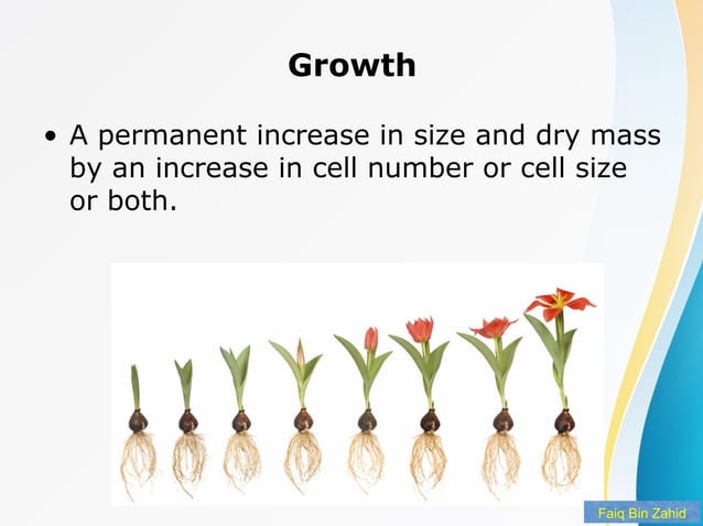 Characteristics of Living Organism | PPT