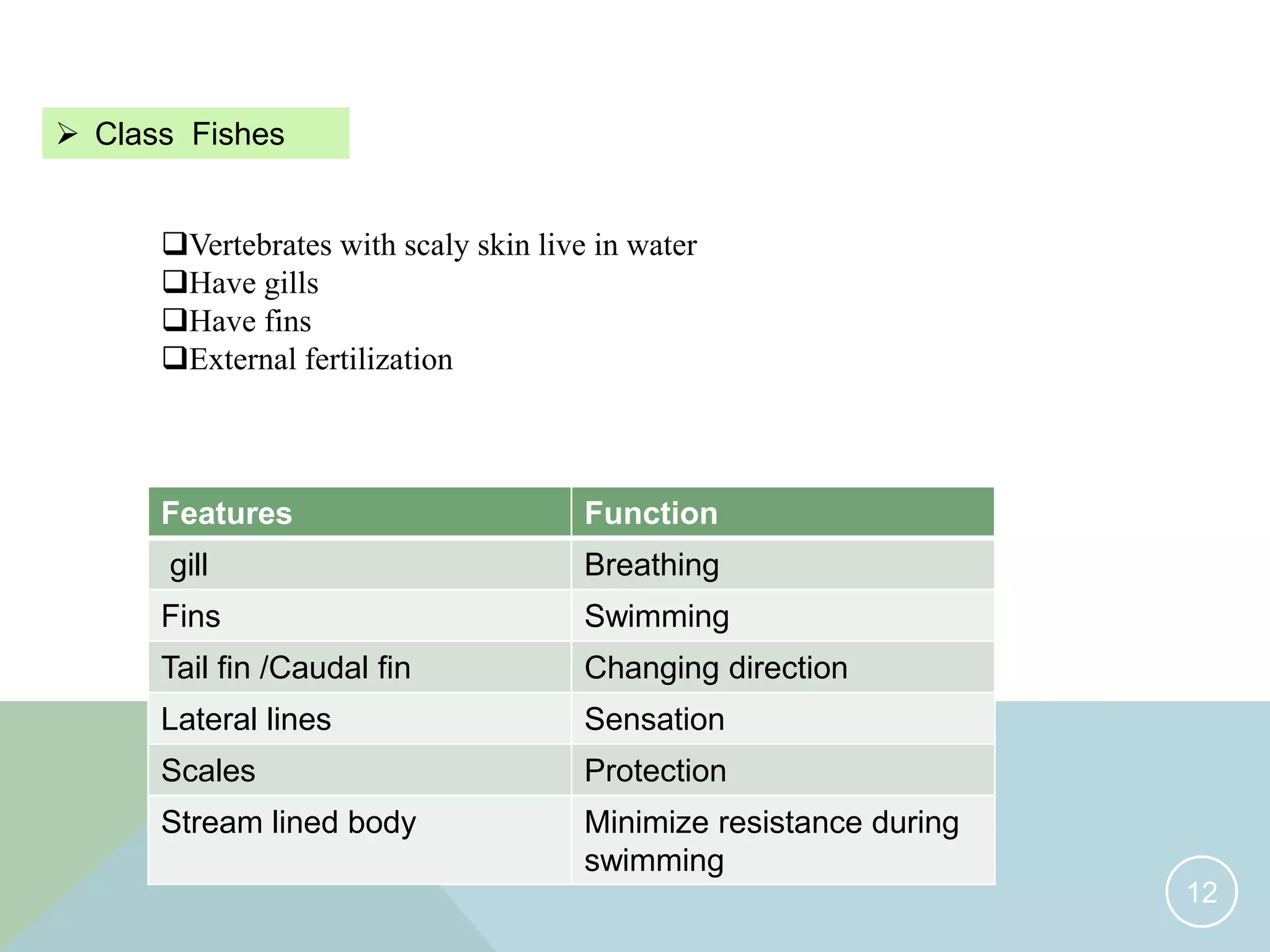Characteristics and classification of living organisms igcse o level ...