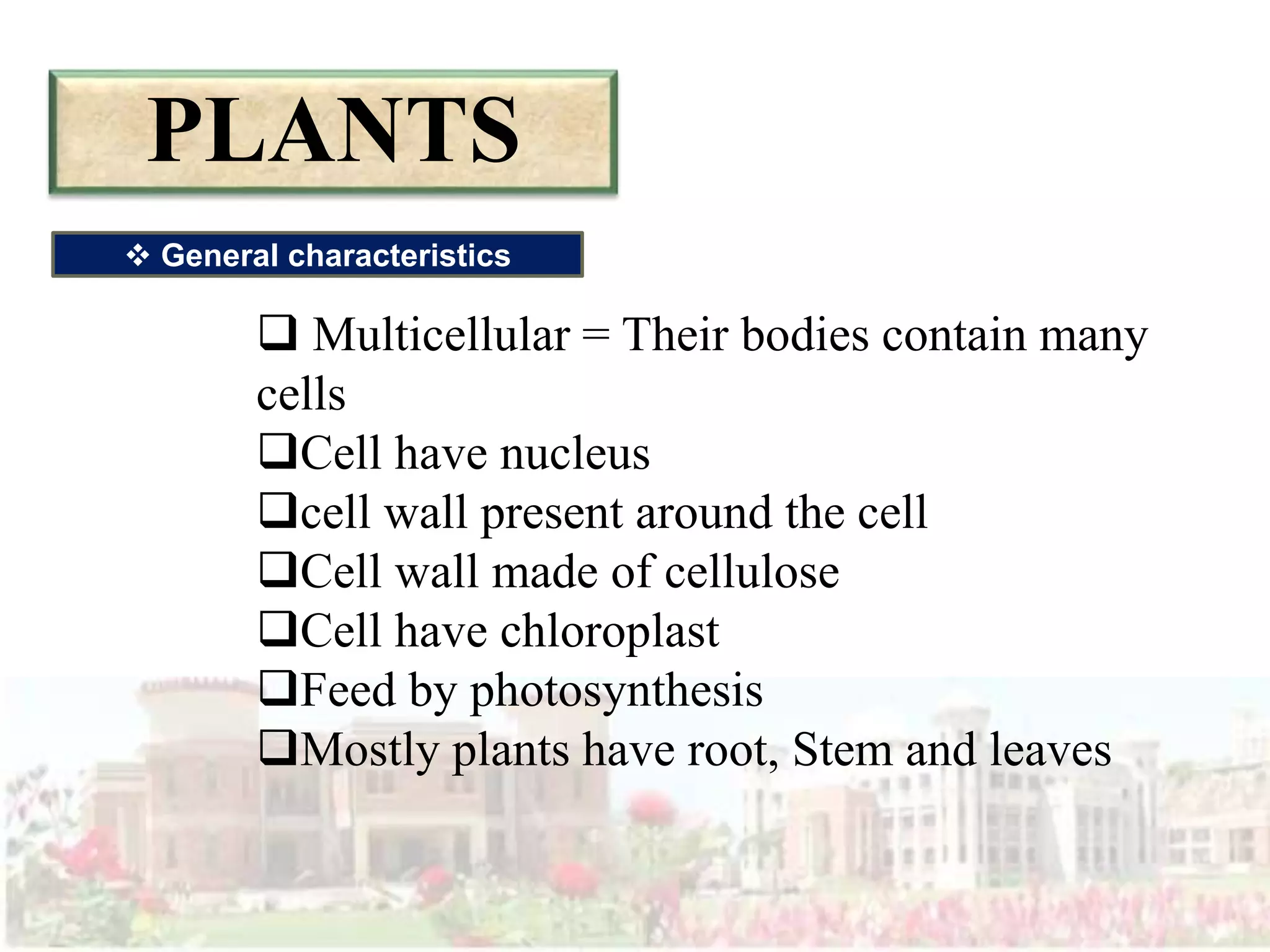 Characteristics and classification of living organisms igcse o level ...