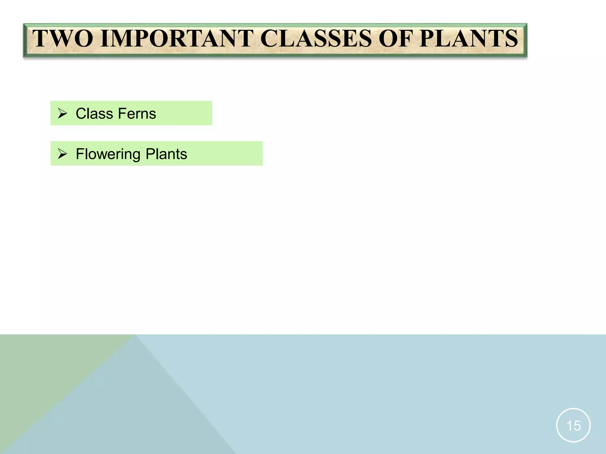 Characteristics and classification of living organisms igcse o level ...