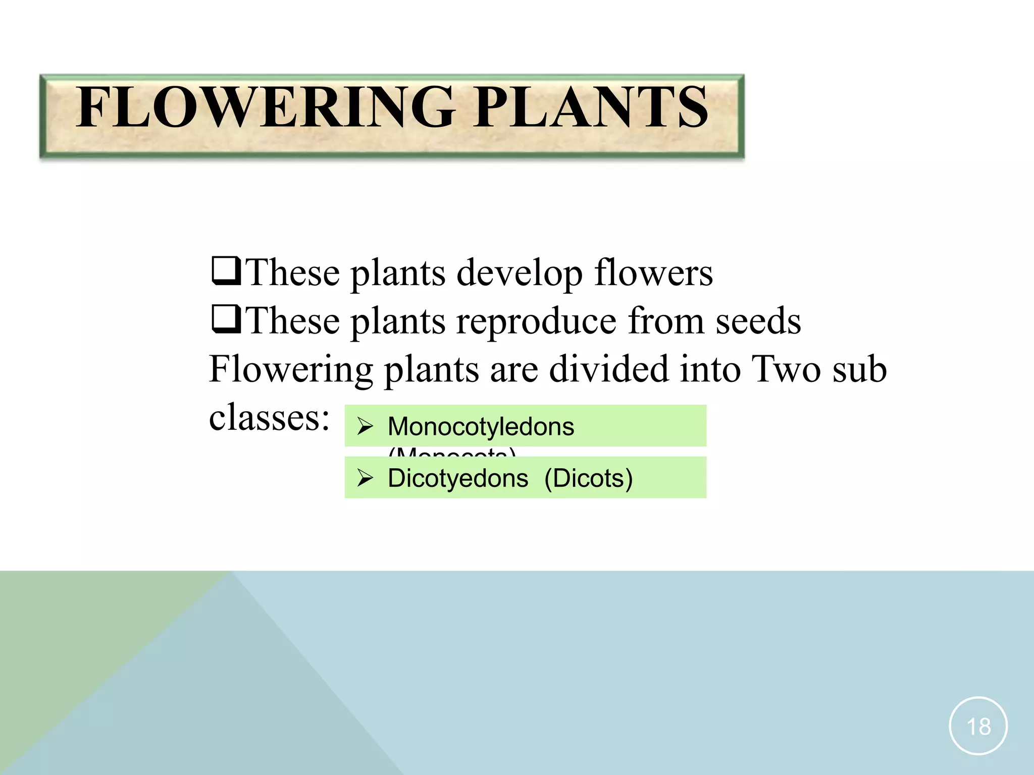 Characteristics and classification of living organisms igcse o level ...