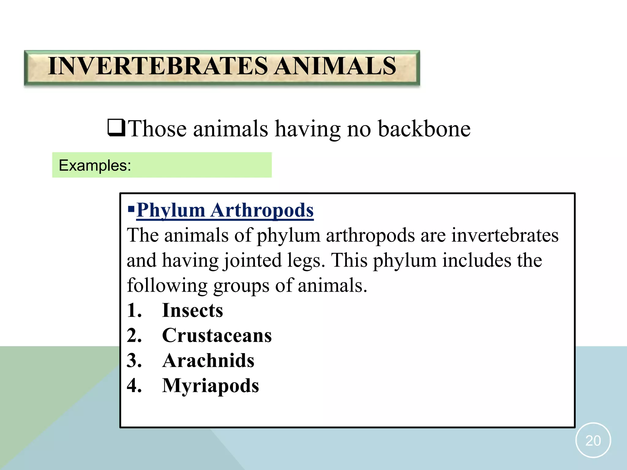 Characteristics and classification of living organisms igcse o level ...