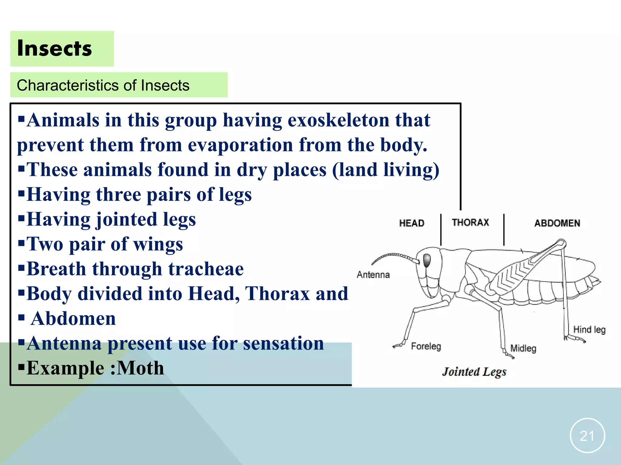 Characteristics and classification of living organisms igcse o level 0610 | PPTX