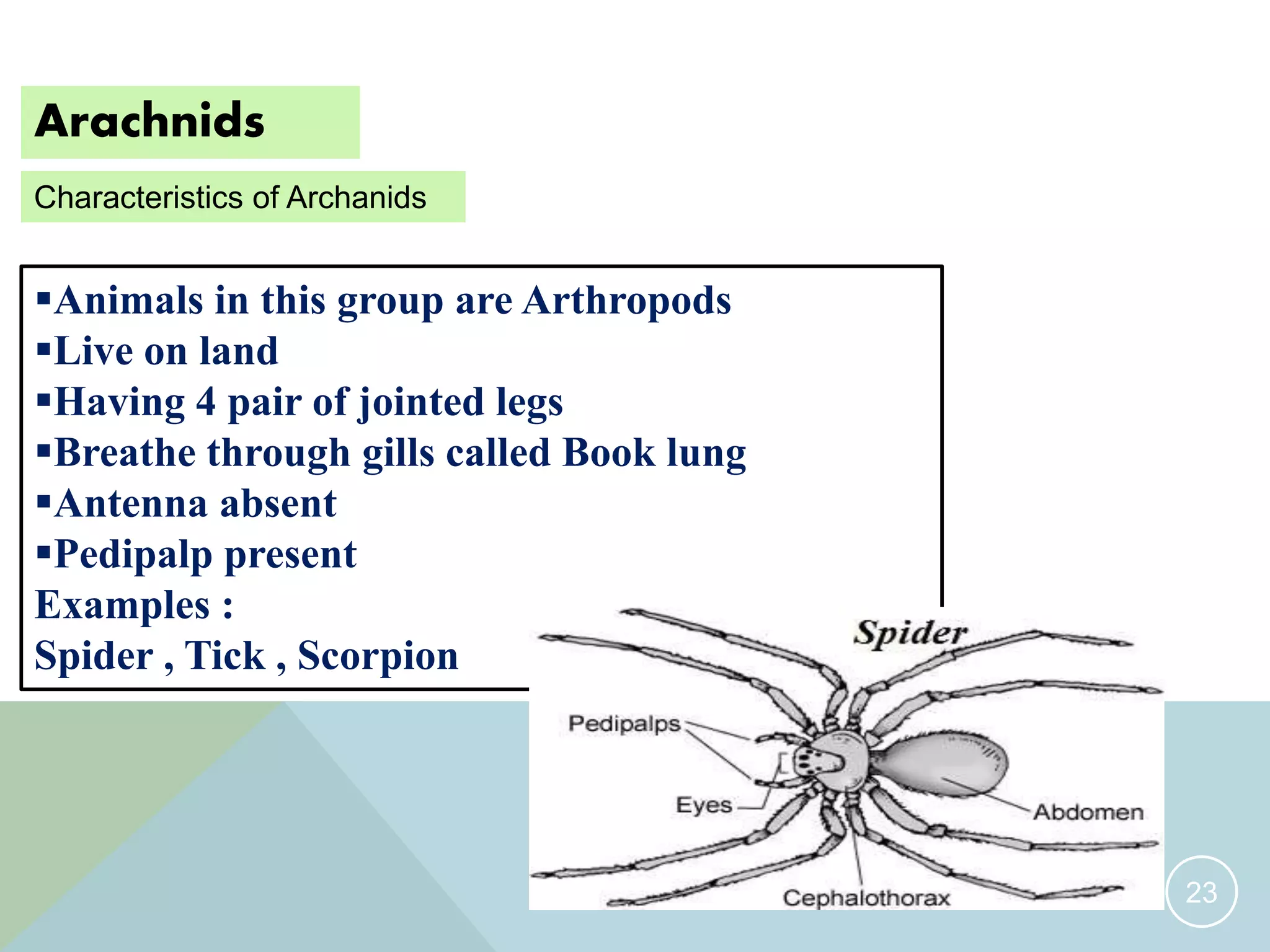 Characteristics and classification of living organisms igcse o level ...