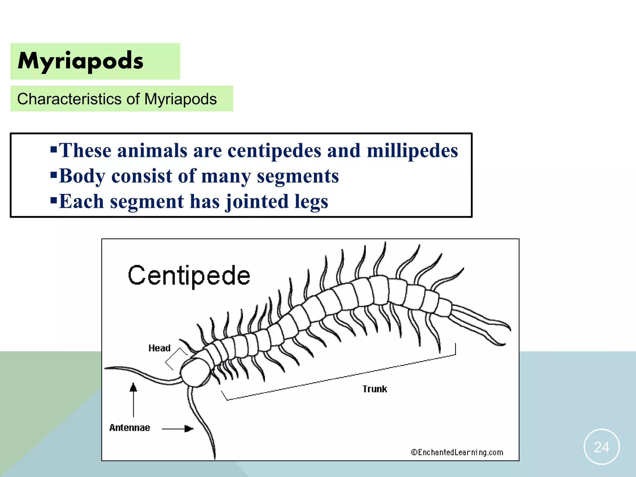 Characteristics and classification of living organisms igcse o level ...